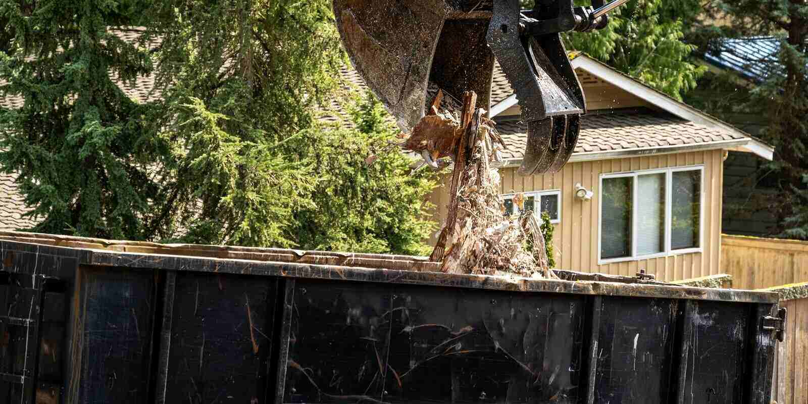 Your Local Guide to Bulk Pickup in Chesapeake, VA - Full Strut Disposal